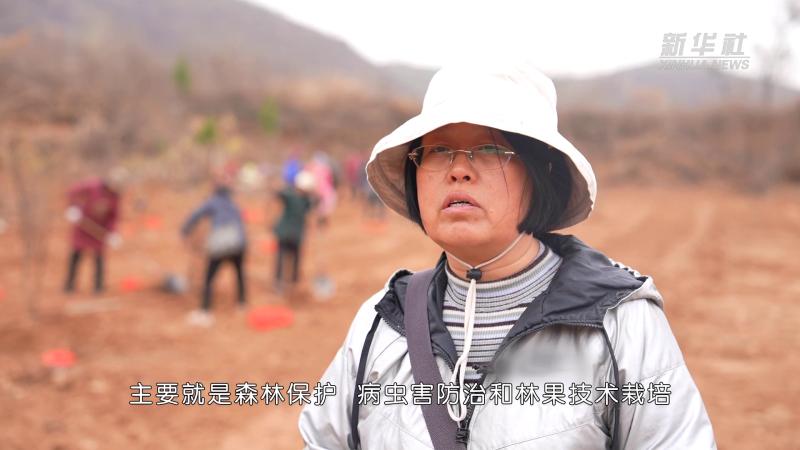 【坚守平凡岗位 践行初心使命】31载,她用青春守护太行深处那一抹绿