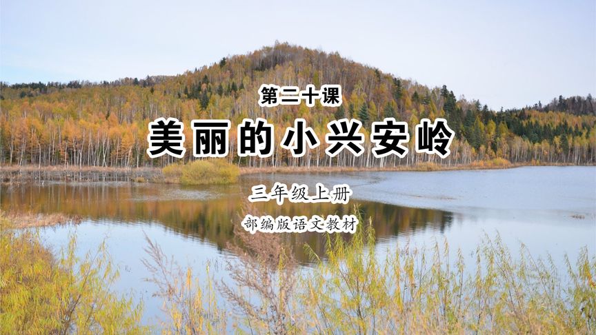 《美丽的小兴安岭》小学语文三年级上册 课文朗读
