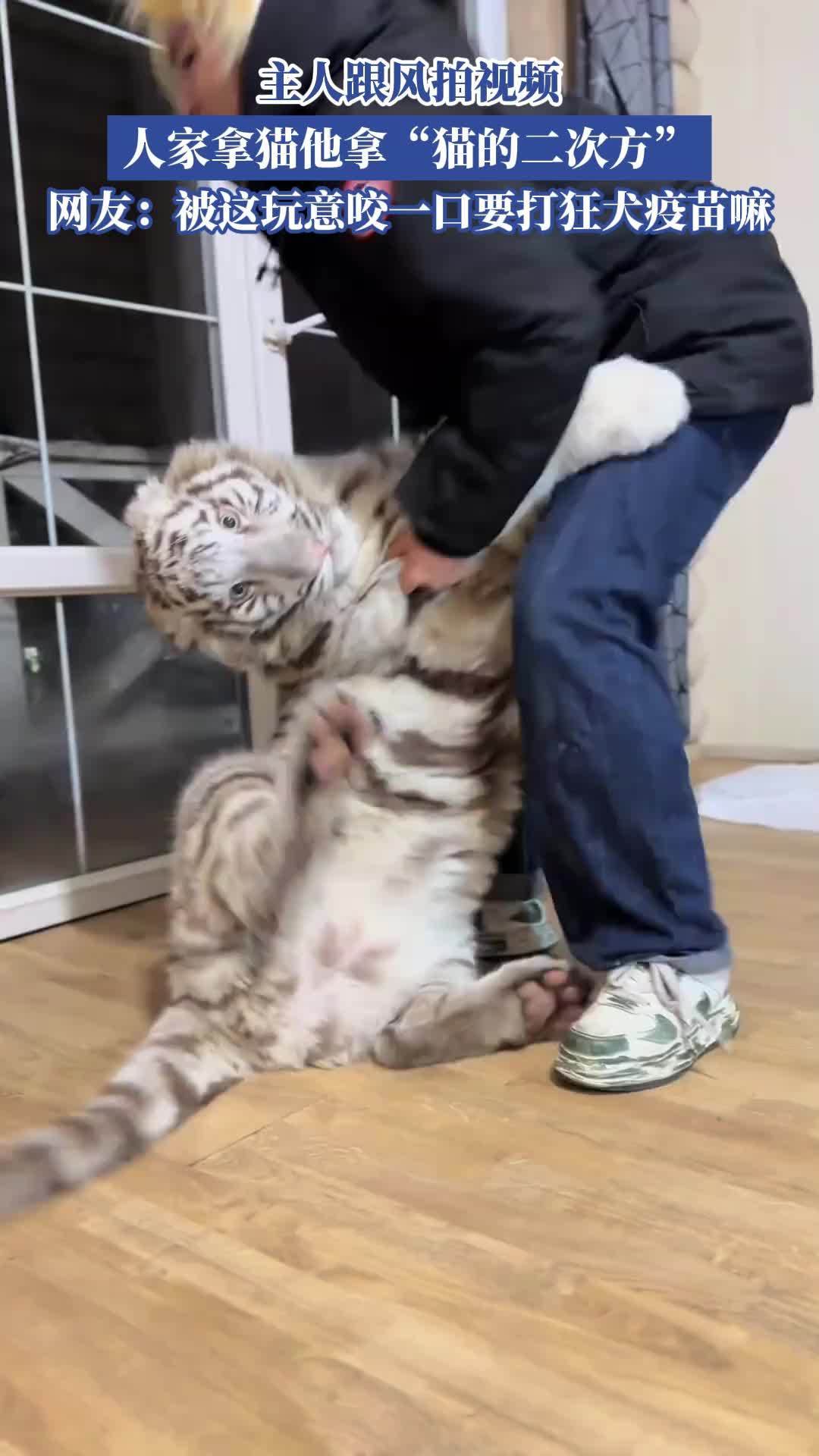 主人跟风拍视频,人家拿猫他拿猫的二次方,咬一口要打狂犬疫苗嘛