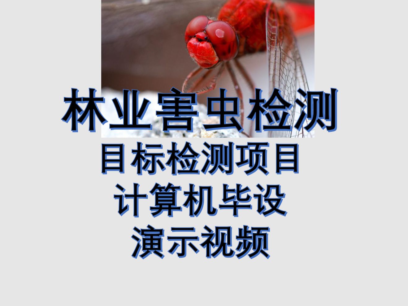 【计算机毕设,AI+林业】基于深度学习的林业害虫目标检测系统【...