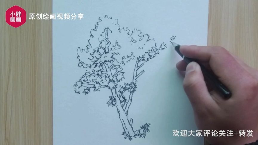 一起来学习，钢笔画，怎样画树？