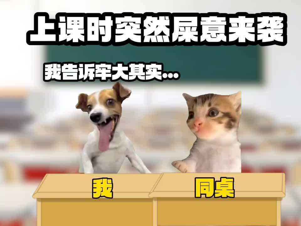 小me:就是因为这个