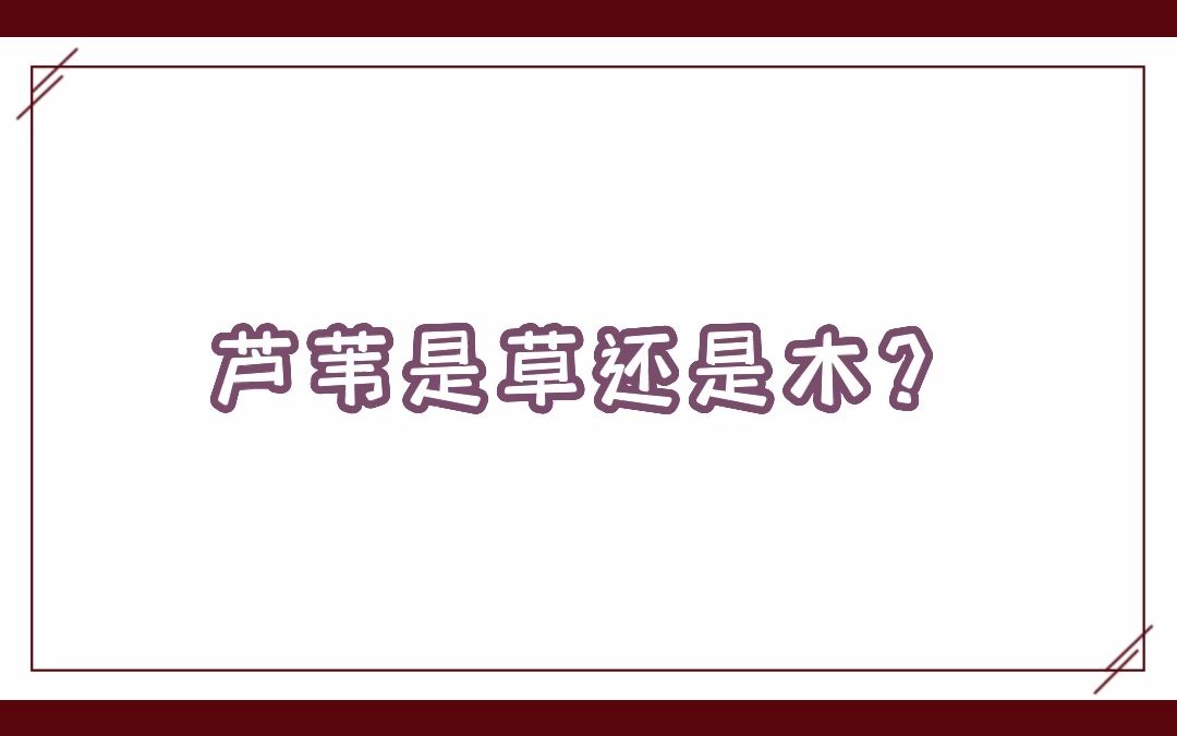 跨学科主题学习课堂实录-芦苇