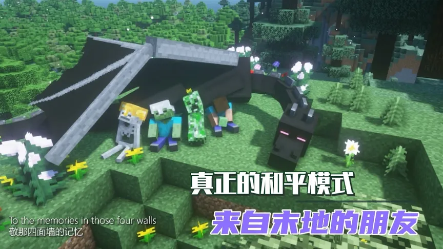 我的世界:真正的和平模式02 - 来自末地的朋友