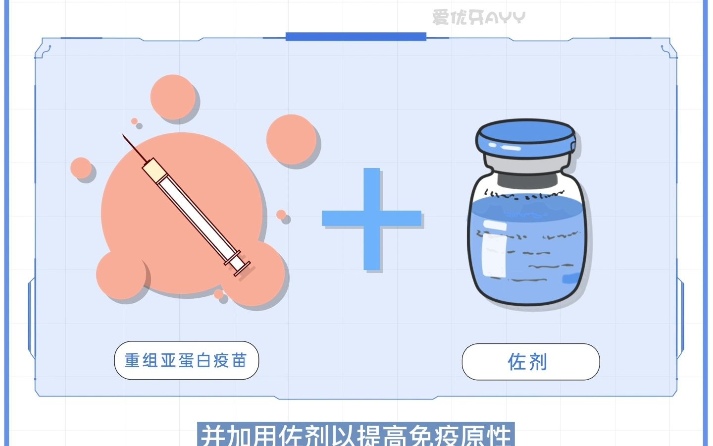 【新冠疫苗03】单针、双针、三针有什么区别?进入人体后是如何发挥...