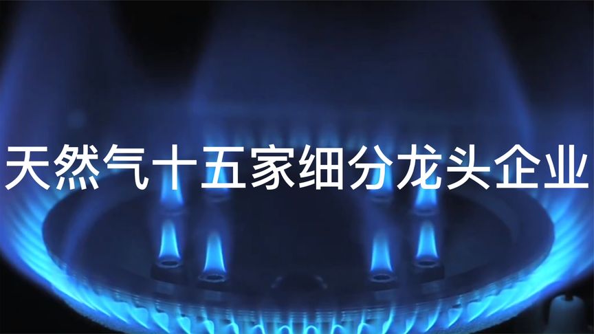 天然气十五家细分龙头企业