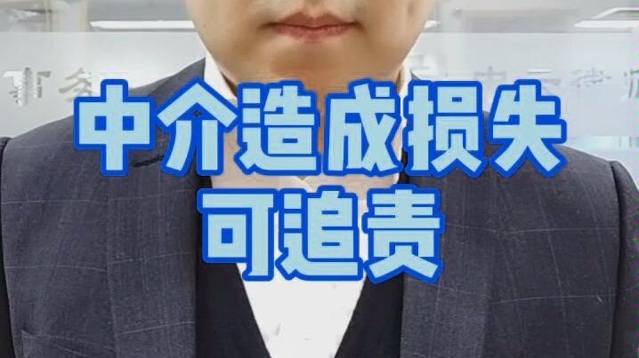 中介造成损失可追责