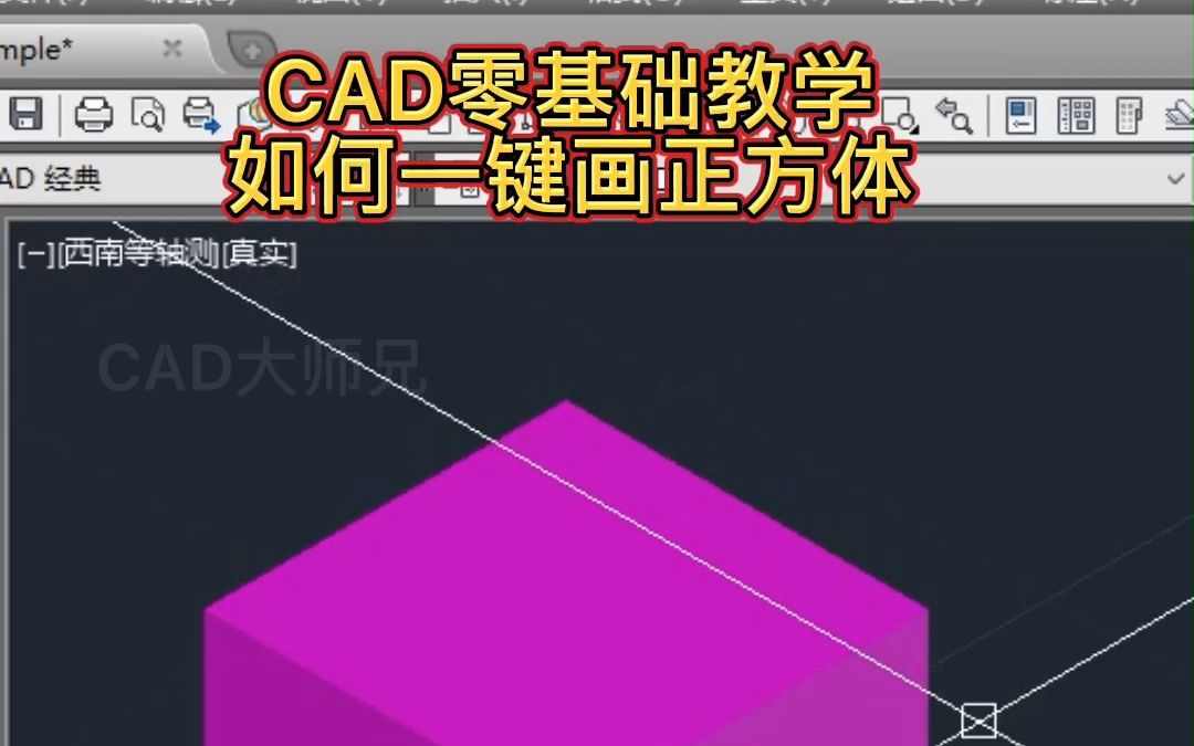 CAD一键画正方体