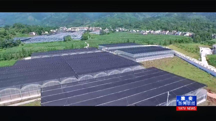 20201210 雅安市促进现代农业社会化服务建设迈向更高层次