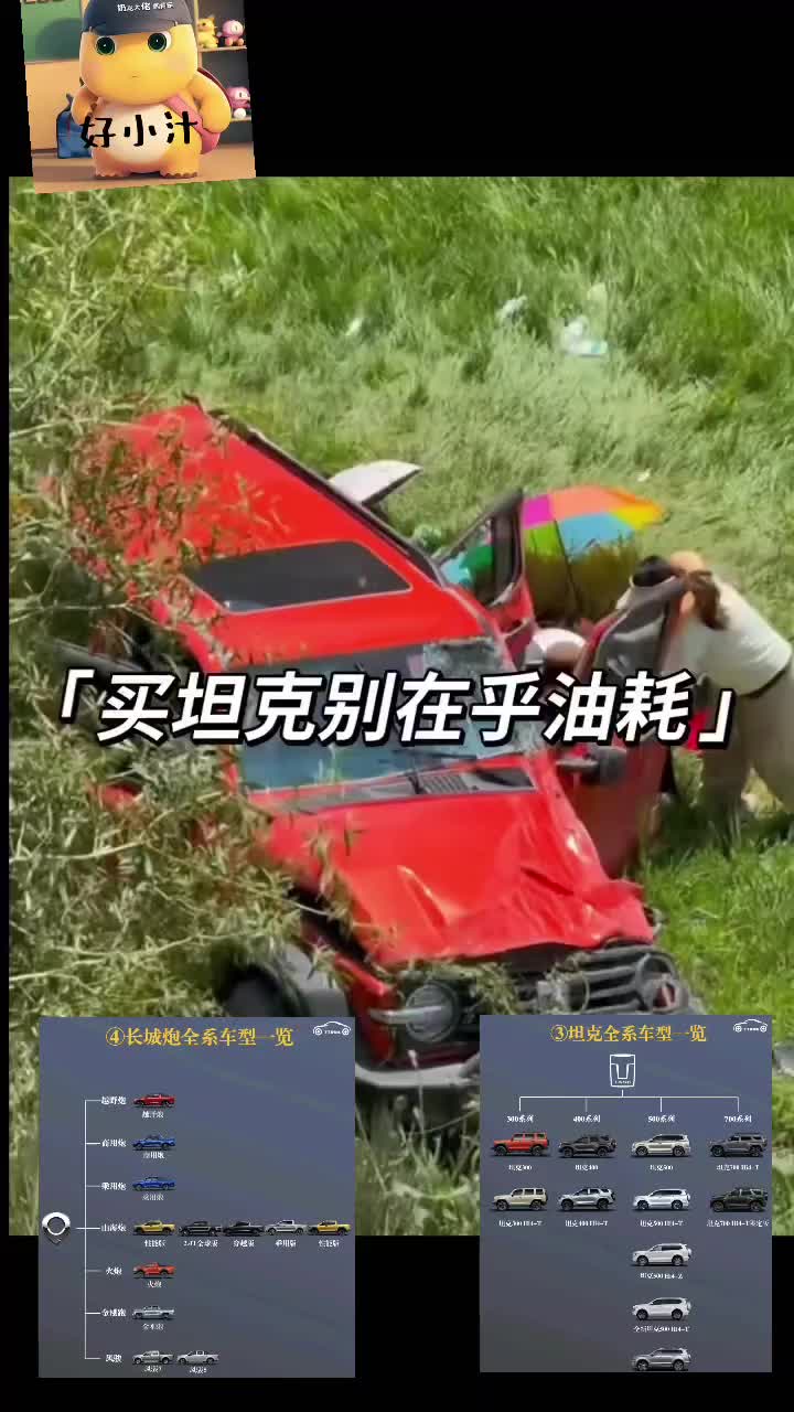 长城坦克的安全可靠是经过长久严格标准及实验室验证考验的#坦克...