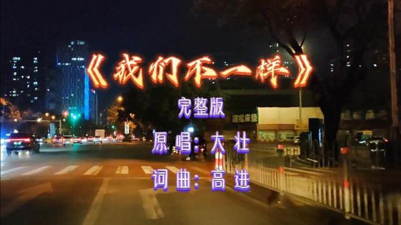 好歌曲推荐《我们不一样》原唱 大壮 我们都希望来生还能相遇