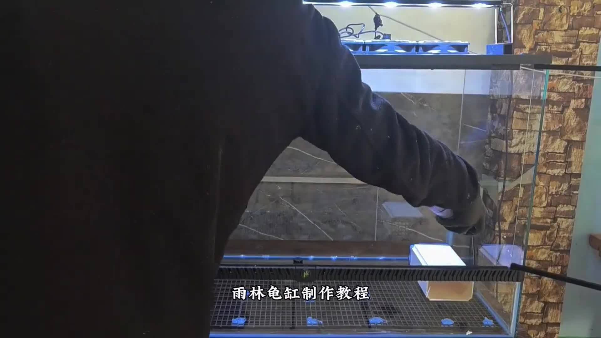 生态雨林龟缸制作教程,半水龟金钱龟造景