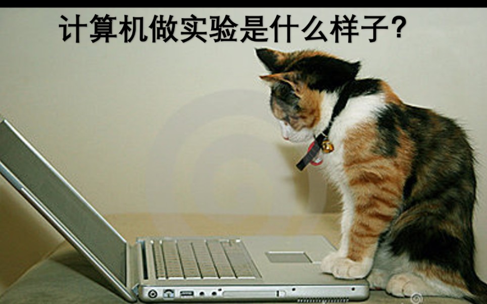 在电脑上做模拟实验是什么样子的?(分子动力学)