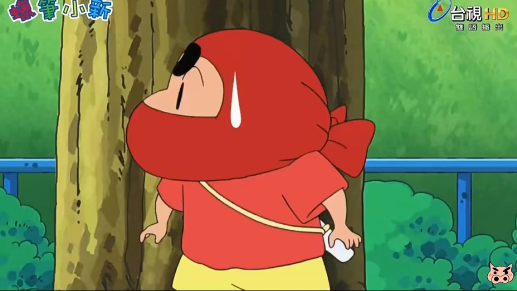 蜡笔小新国语第十一季忍者小新哦