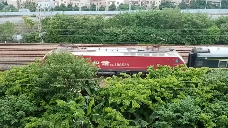 广铁广段HXD1D牵引沈广直特Z12次列车鸣笛从广州北通过
