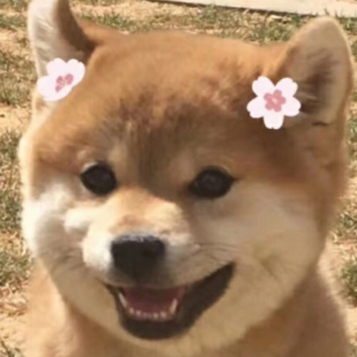 酷盖女孩冲冲冲 