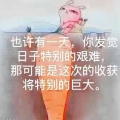 不喜欢露脸的充电宝 