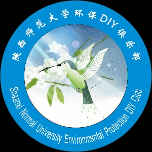 环保DIY俱乐部 