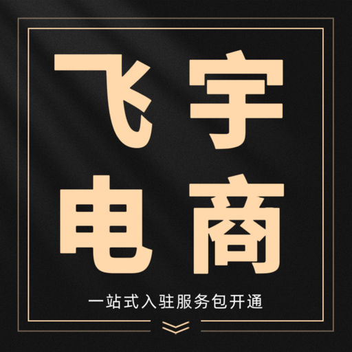 飞宇电商 