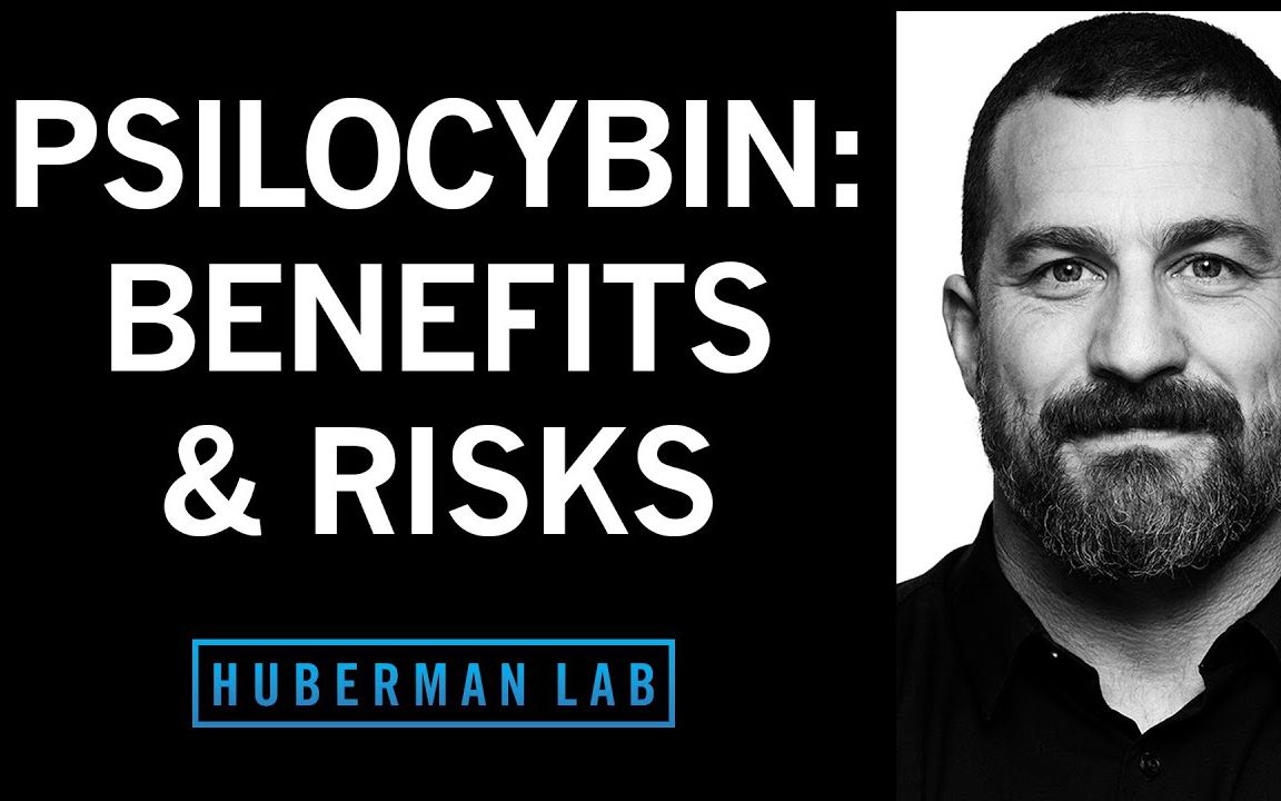 ...我们的大脑、其治疗益处及其风险 【Huberman Lab】播客 Podcast