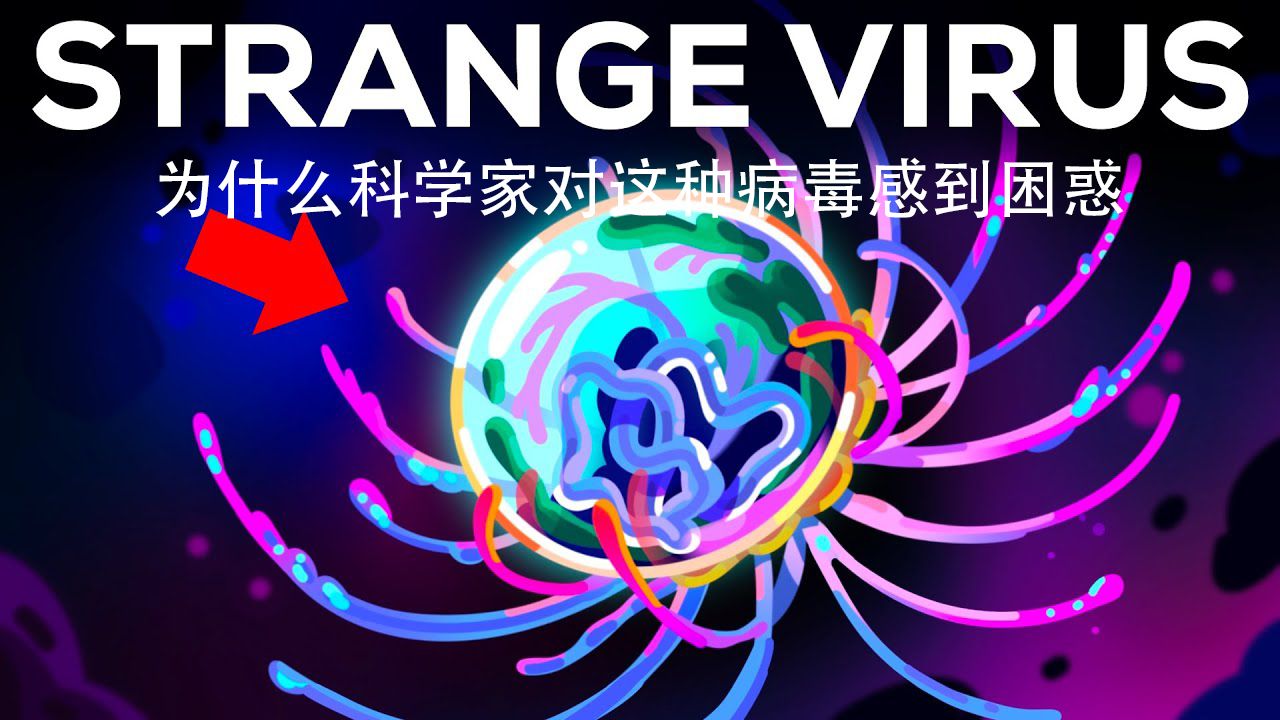 Kurzgesagt科普:为什么科学家对这种病毒感到困惑