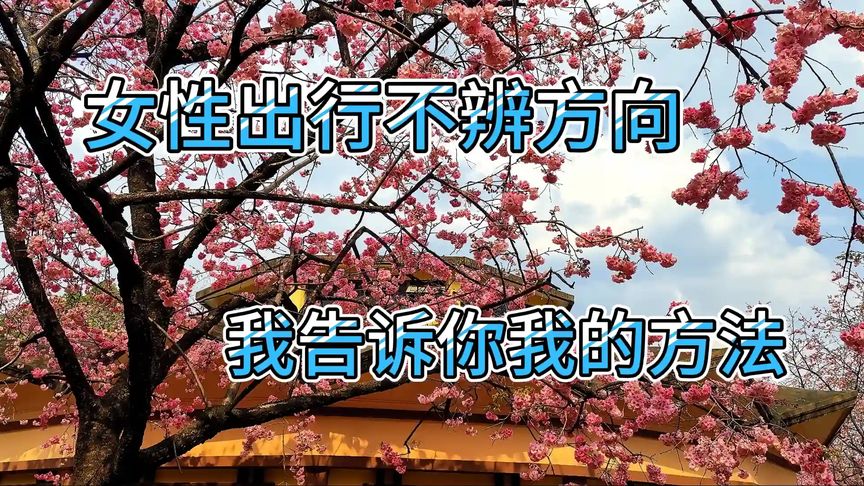 女性朋友如果出行不辨方向,我告诉你如何找东南西北