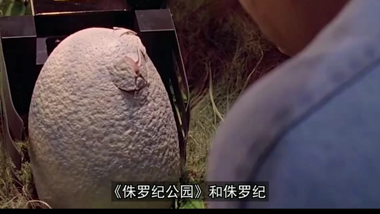 《侏罗纪公园》和《侏罗纪世界》有什么联系呢?