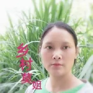 乡村莫姐