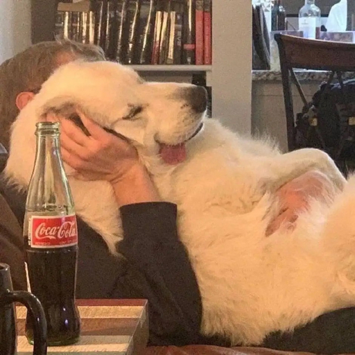 七次宛拒王祖贤 