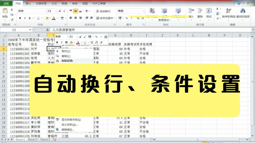 3、Excel2010办公软件应用:自动换行、条件设置