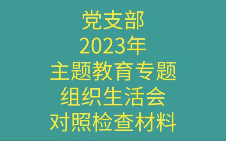 党支部2023年主题教育专题组织生活会对照检查材料