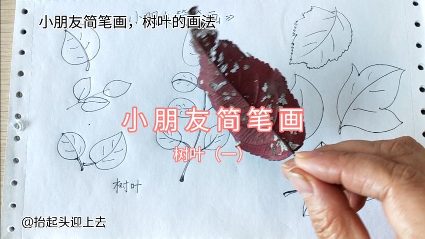 小树叶简笔画教学(1)