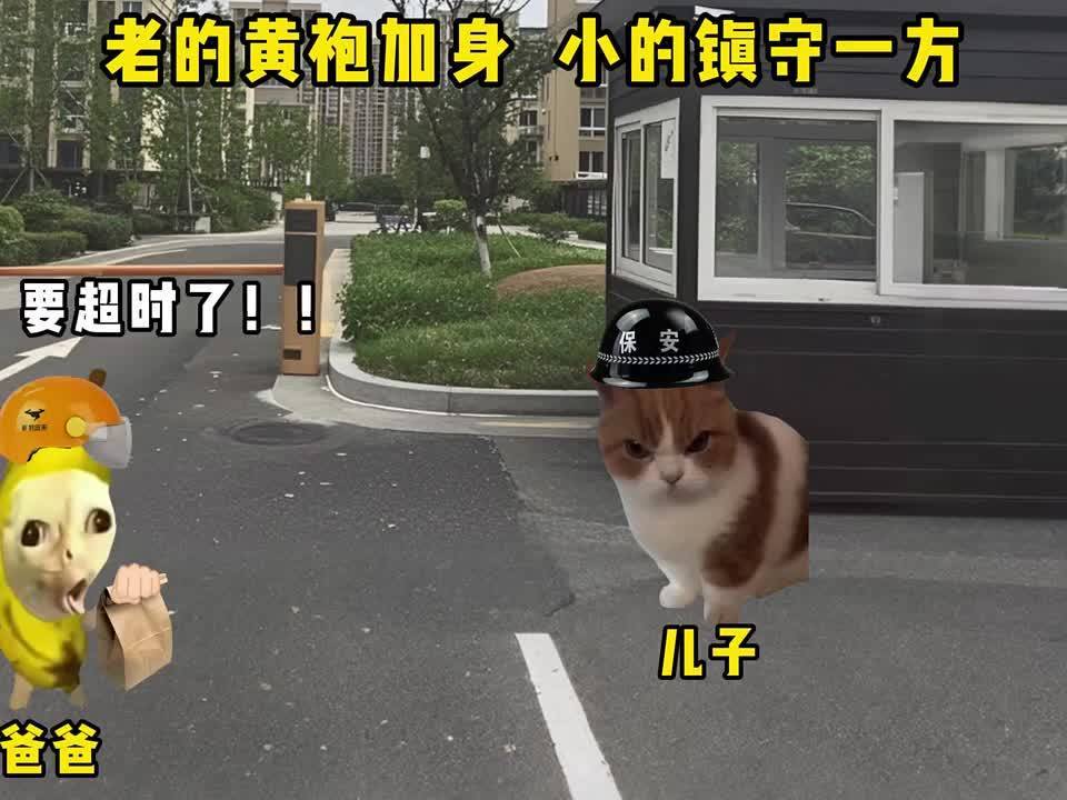 保卫一方平安,喜欢业主小丹