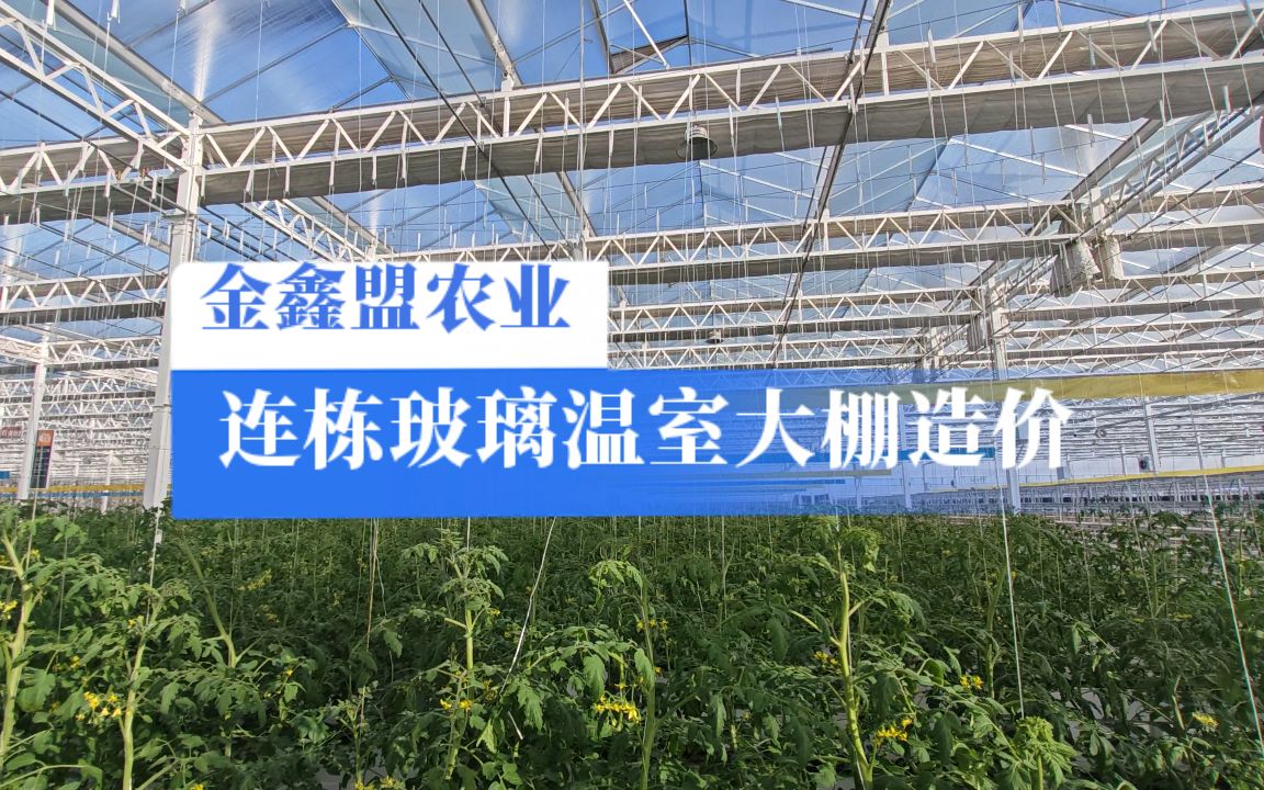 标准化连栋玻璃温室大棚造价多少钱一平方?