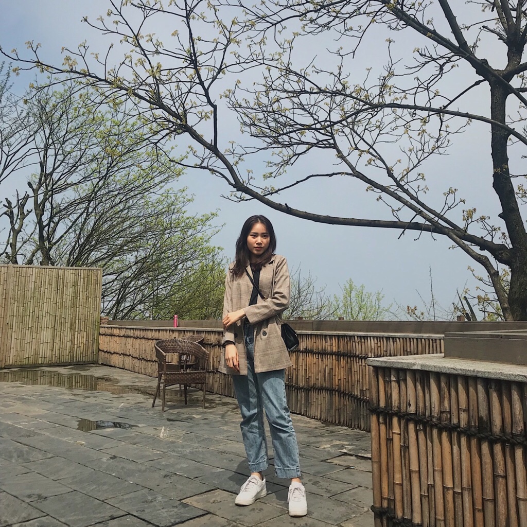 是美美猪 