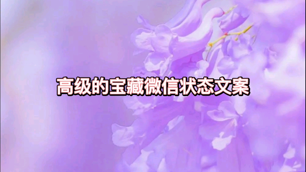 高级的宝藏微信状态文案