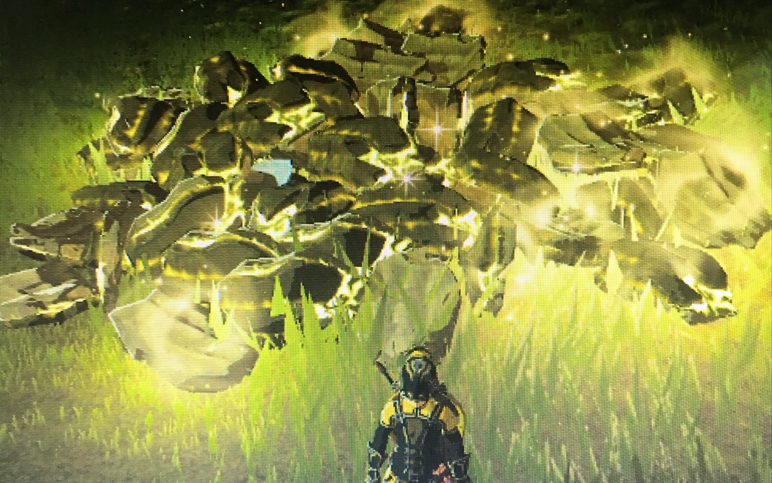 【塞尔达传说 旷野之息】:“夭寿”拉,雷龙既然自带鬼畜~