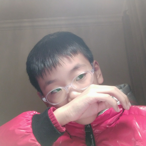 玩mc的小学生123 