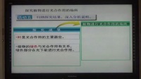 苏科版七上第四章《植物的光合作用》江苏省- 赣榆学案