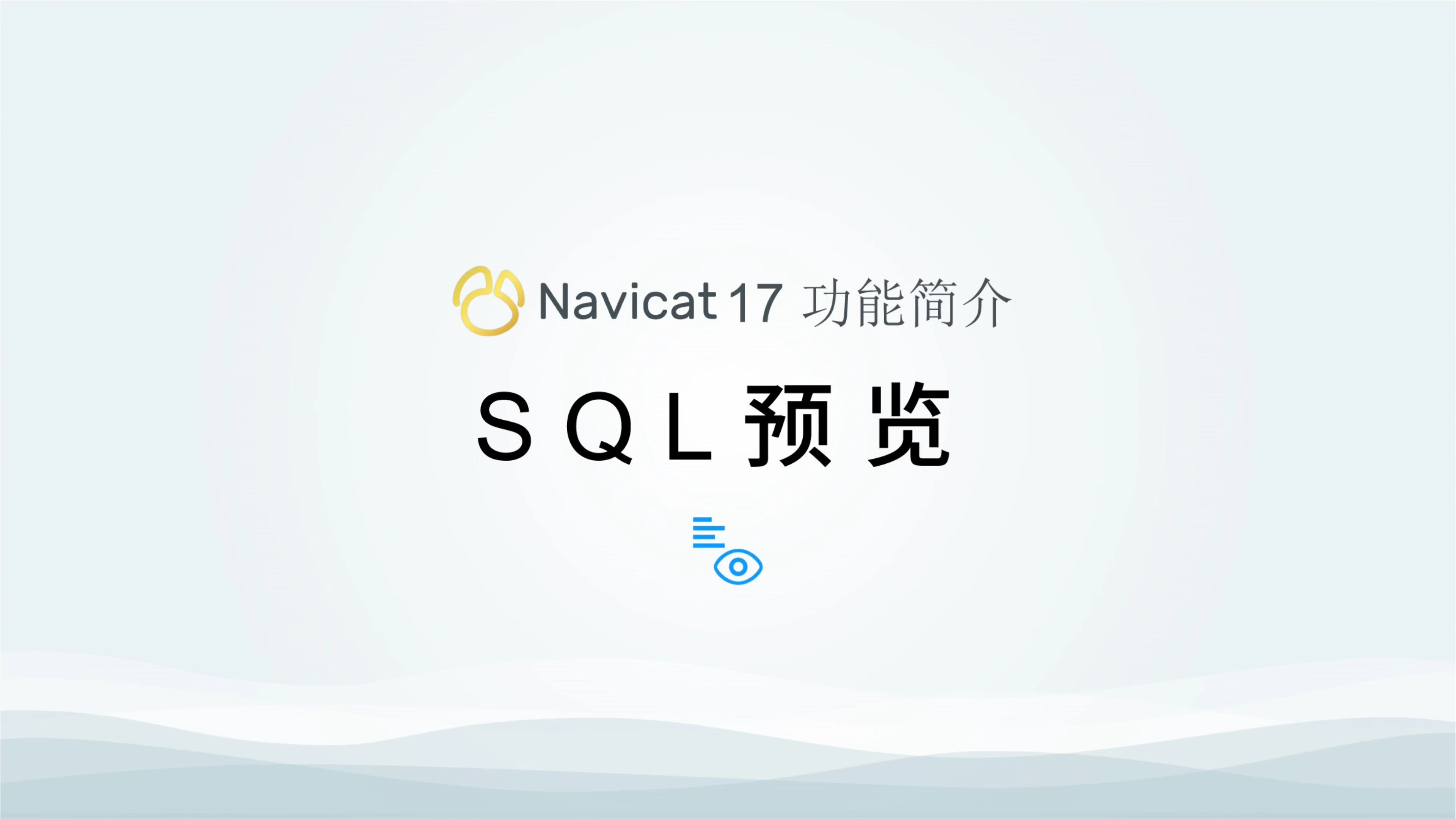 Navicat SQL 预览