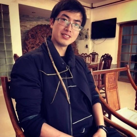 小阳的昆虫世界 