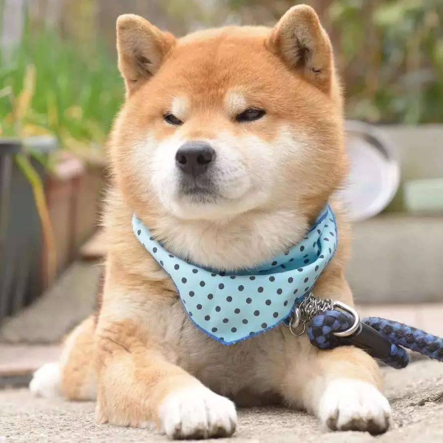 开箱阿雕 