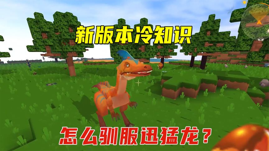 迷你世界:新版本冷知识!迅猛龙驯服方法只有我知道?