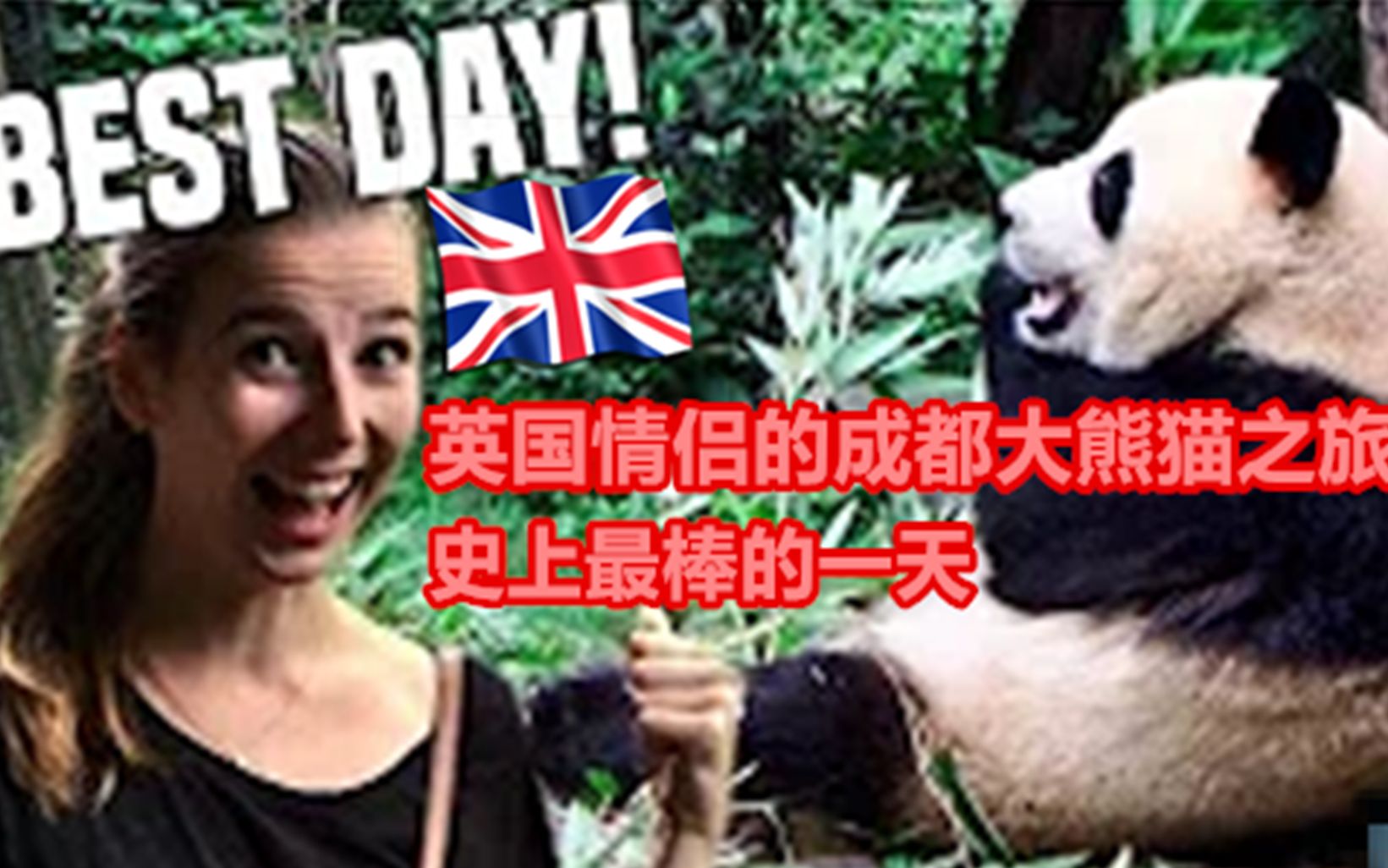 Panda熊猫!英国情侣逛全球熊猫最多的地方四川成都大熊猫研究基地