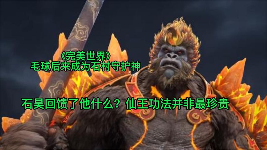 《完美世界》毛球成为石村守护神,石昊给了他什么?功法非最珍贵