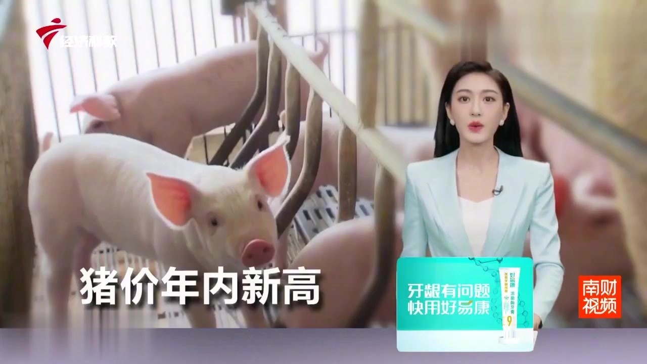 生猪价格再度刷新年内新高本轮"猪周期"还能走多远