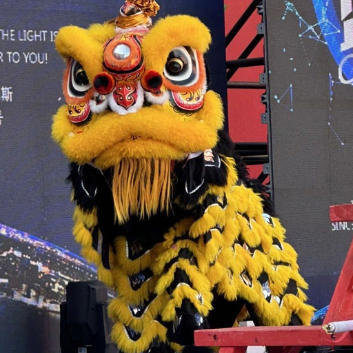江西吉安开业舞狮醒狮 