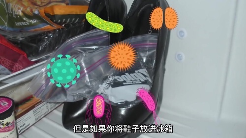 把鞋子放进冰箱里是一种什么样的体验