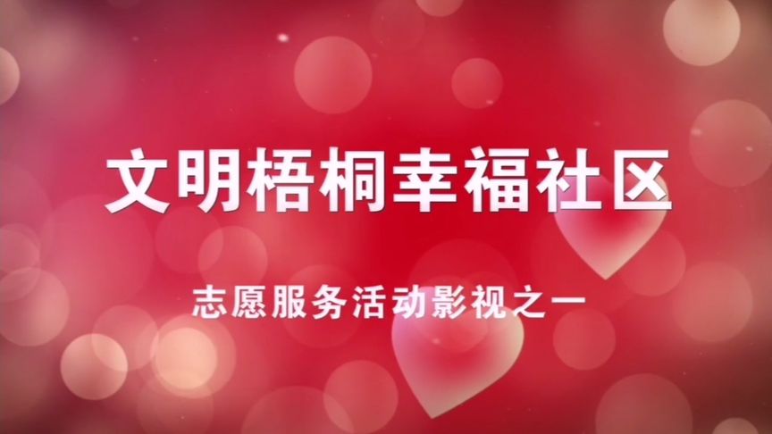 志愿服务进社区,雷锋精神在身边2021.3.28.