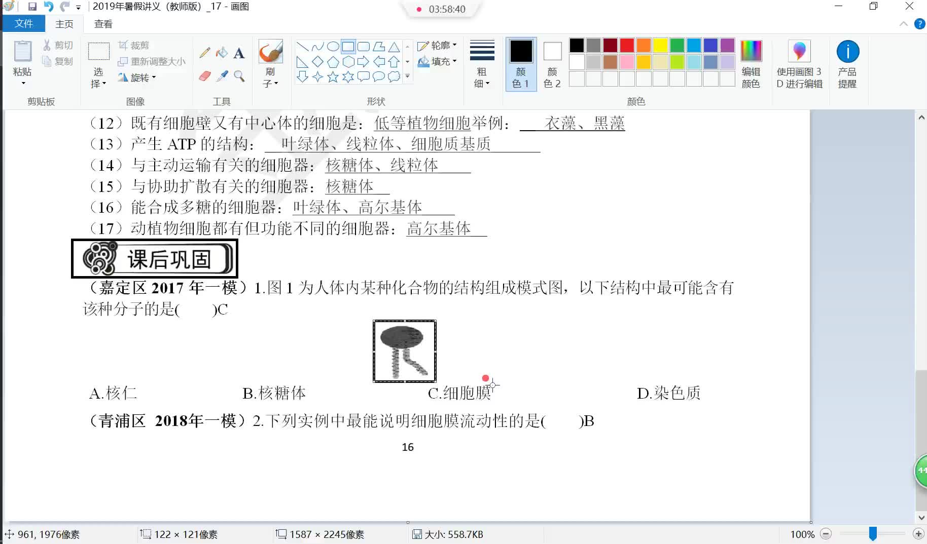 上海生物等级考一轮复习课程视频